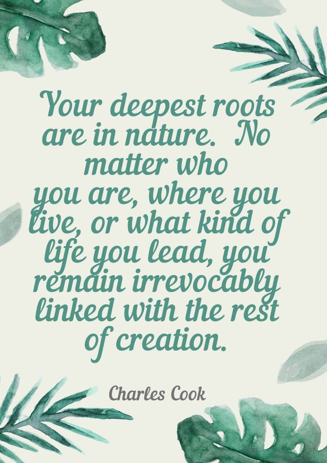Inspiring Quotes That Will Bring You Closer to Nature - StriveZen