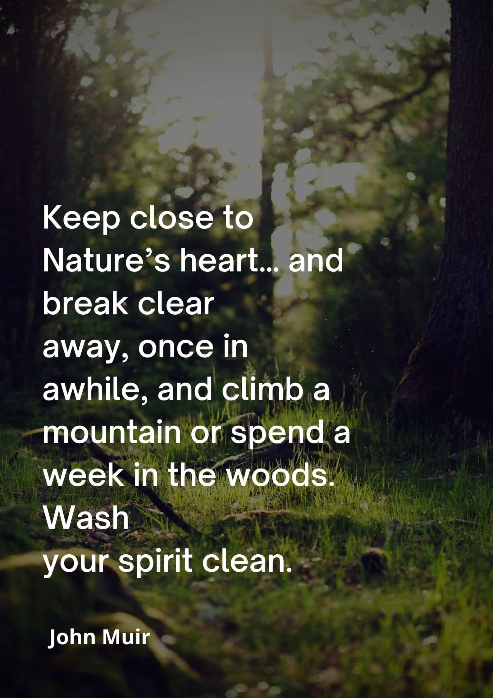 Inspiring Quotes That Will Bring You Closer to Nature - StriveZen