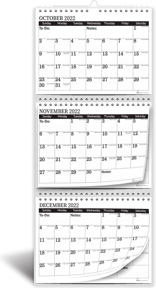 3-Month View Wall Calendar, Minimalist, 2021 - 2022 - StriveZen