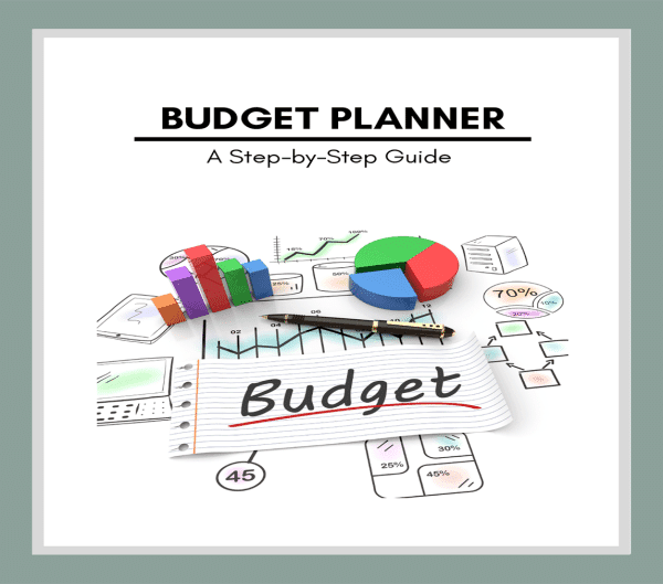BUDGET PLANNER: A Step-by-Step Guide - StriveZen